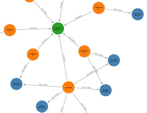 Integrating Cosmos Db Into Gremlin Visualizer Enhancing Gremlin Based Graph Exploration By