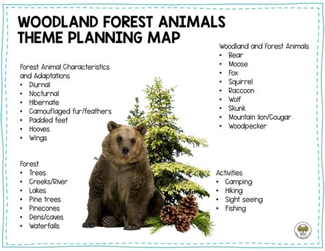 Forest Themed Preschool Math And Literacy Activities Pre K Printable Fun