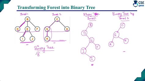 Transform Forest Into Binary Tree Q8b Vtu Model Question Paper 2024 Solution Dsa Bcs304