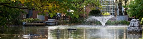 About Um Dearborn University Of Michigan Dearborn