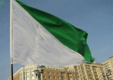Flag of Siberia: meaning and colors ᐈ Flags-World