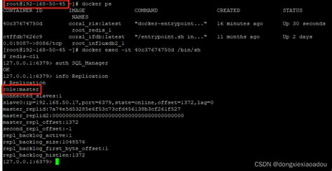 docker compose 极简版哨兵模式 redis哨兵模式 docker compose csdn博客