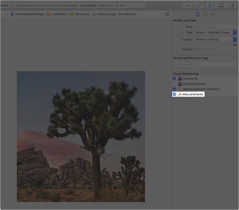 creating a macos app · williewangwei swiftui tutorials wiki · github