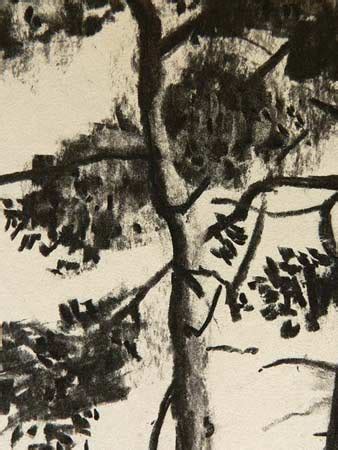 Drawing Trees In Charcoal Free Drawing Lesson