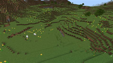 Plains Biome Minecraft