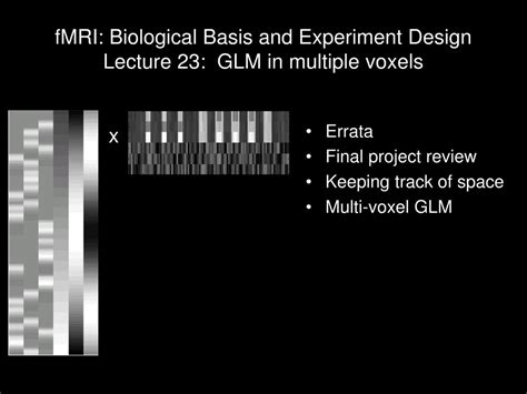 PPT FMRI Biological Basis And Experiment Design Lecture GLM In Multiple Voxels PowerPoint