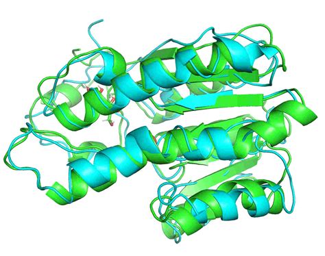 Accurate Protein Structure Prediction By Embeddings And Deep Learning