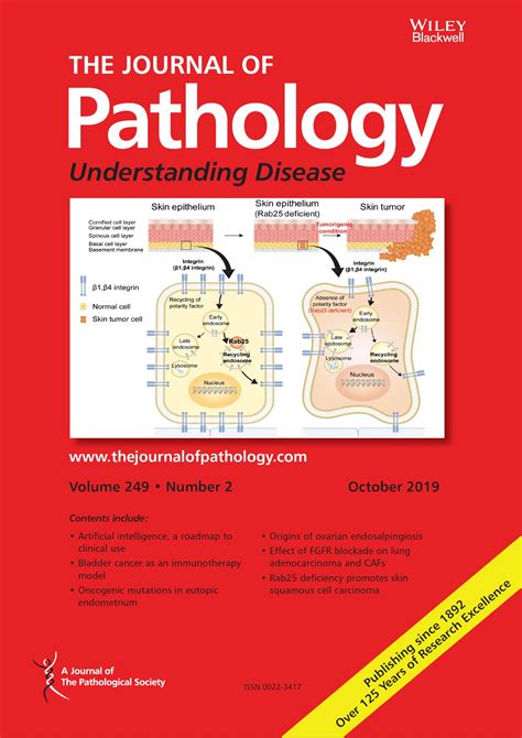 연세대학교 의과대학 의생명과학부