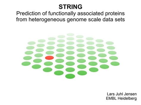 String Prediction Of Functionally Associated Proteins From Heterogeneous Genome Scale Data