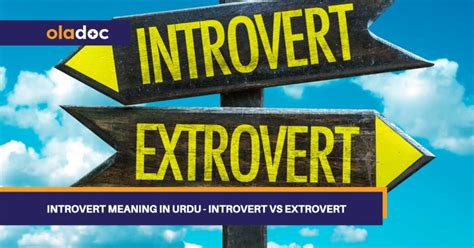 Introvert Meaning In Urdu Introvert Vs Extrovert