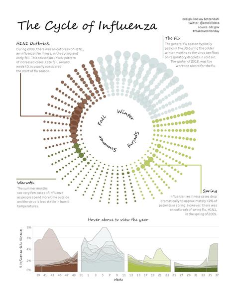 The Cycle Of Influenza — Information Is Beautiful Awards
