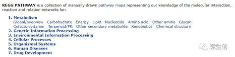 kegg pathway通路二级分类汇总，轻松找到感兴趣的通路 transport and catabolism csdn博客