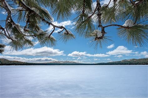 겨울 눈 풍경 Pixabay의 무료 사진