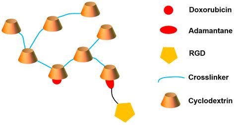 Polymers Free Full Text Cyclodextrin Based Polymeric Drug Delivery Systems For Cancer Therapy