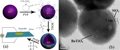 Schematic Illustration Of The Synthesis Of Core Shell Structured BT SiO Download Scientific