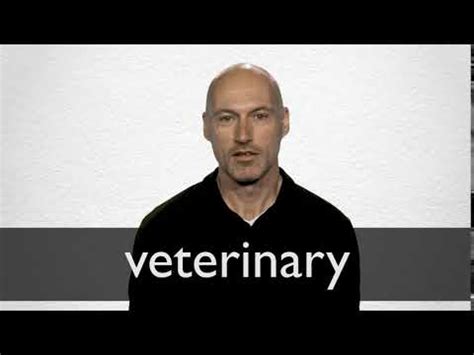 VETERINARY definition and meaning | Collins English Dictionary