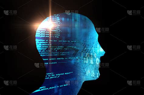 具有软件开发和计算机脚本编程技术背景