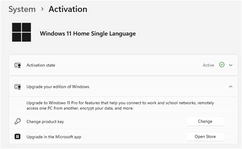 Windows Pro