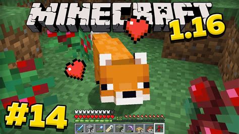Майнкрафт 1 16 Выживание без модов Как приручить лису в Minecraft 14 Youtube
