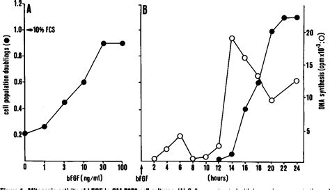 Figure 1 From Basic Fibroblast Growth Factor Requires A Long Lasting