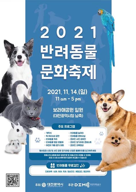 도그 댄스명랑운동회대전시 11월 14일 2021 반려동물 문화축제