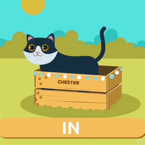 PREPOSITIONS Flashcards Quizlet
