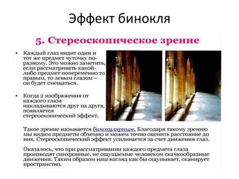 Зрительное восприятие и познание лекция 2 презентация онлайн