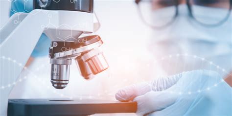 Шийтаке ползи от приема на лекарствената гъба