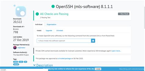 Windows10 Cmd 下 Ssh 远程 Linux如果用cmd Shh海外节点 Csdn博客