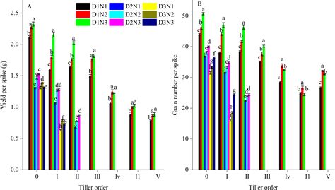 Optimizing Plant Density And Nitrogen Application To Manipulate Tiller Growth And Increase Grain