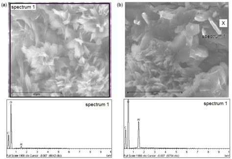 SEM EDX Spectra For Composite Sample With X 0 1 Download Scientific Diagram