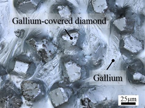 Laser Scanning Confocal Microscope LSCM Characterization Of The Download Scientific Diagram