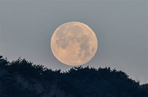 베스트갤러리 새벽에 본 정월대보름달