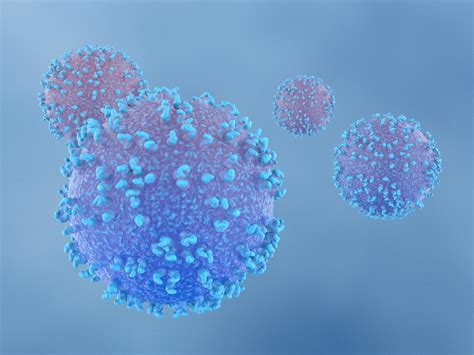 B Lymphocytes Under A Microscope