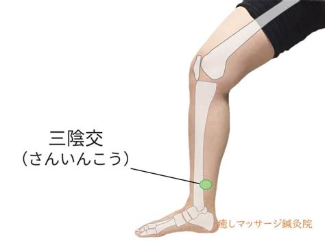 妊娠中に鍼やお灸を受けても大丈夫注意点もあわせて解説 京都市南区癒しマッサージ鍼灸院