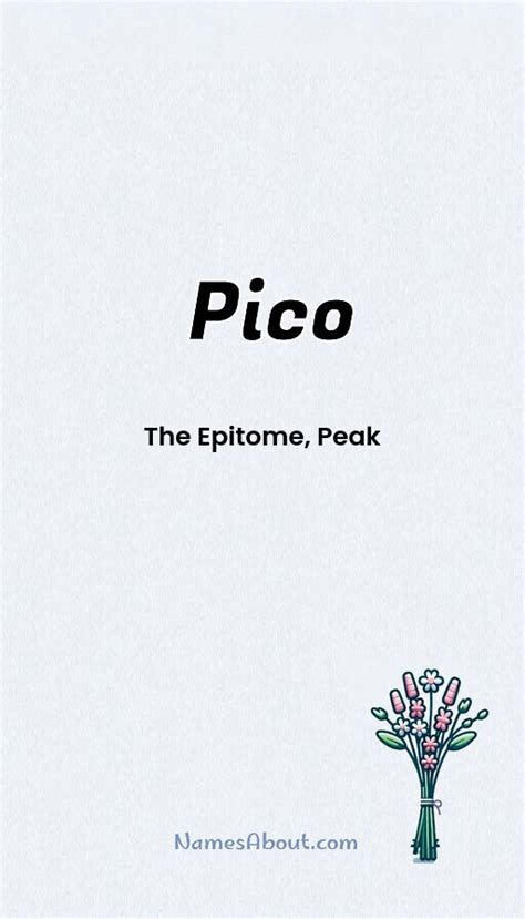 Pico Name Meaning And Origins Nicknames Sibling Ideas
