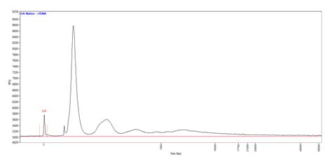 Human Blood Cell Free DNA CfDNA Extraction For Multiplex Sequencing