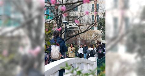 喊「想多生子」能吸引到男性？華東師大愛情心理學課惹議 國際 Ctwant