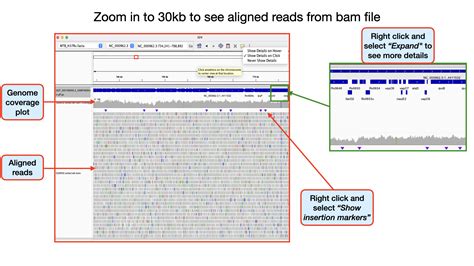 5 1 Short Read Mapping