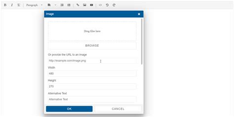 Blazor Blazor Editor With Images Https Htmlelements Com