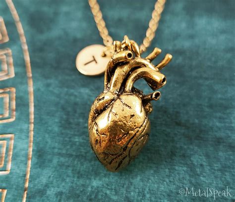 Anatomical Heart Necklace Etsy