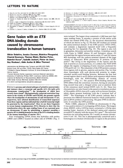 Pdf Gene Fusion With An Ets Dna Binding Domain Caused By Chromosome Translocation In Human Tumours