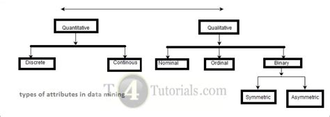 understanding attribute data definition examples and importance