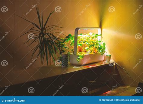 How To Create Artificial Light For Plants At Kaitlyn Corkill Blog