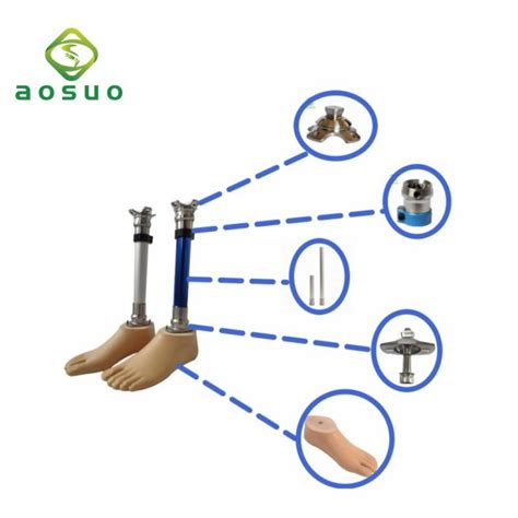Artificial Limbs Leg Prosthetic Bk Kits Prosthetic Leg China Prosthetic Lower Limb And