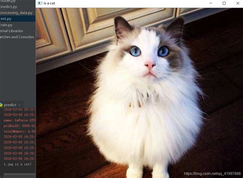 迁移学习vgg16实现猫狗大战使用迁移学习训练一个vgg16需要多少时间 Csdn博客