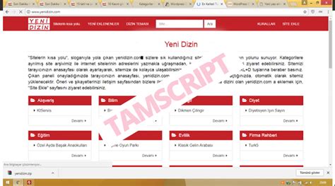 Wordpress Dizin Teması Tam Script Ücretsiz Scriptler