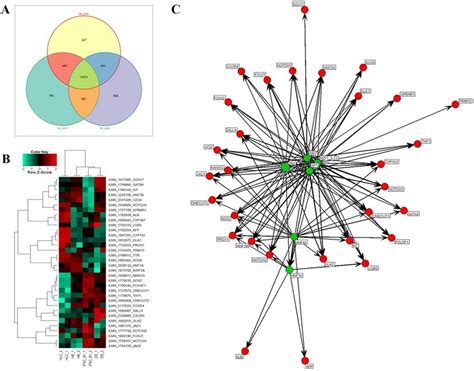 Cell Fate Decision A Venn Diagram Of De He And Hlc B Heatmap Of