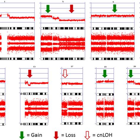 Chromosomal Microarray Analysis Showing Multiple Genomic Imbalances In Download Scientific