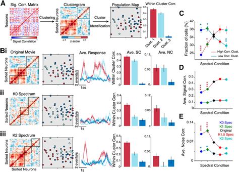 Spatial Correlations In Natural Scenes Modulate Response Reliability In Mouse Visual Cortex